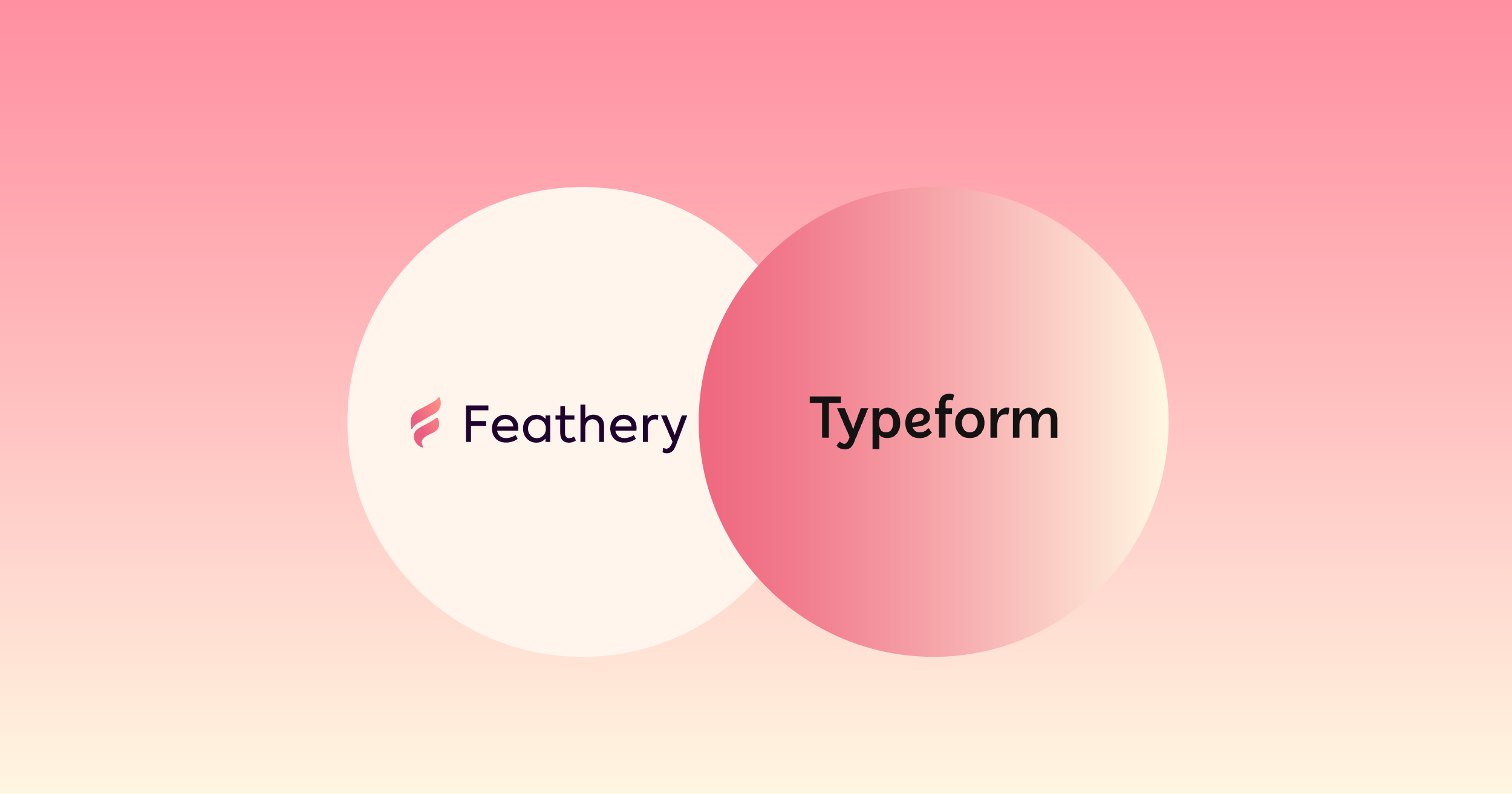 Choosing Your Ideal Form Builder in 2024: Top 14 Typeform Alternatives